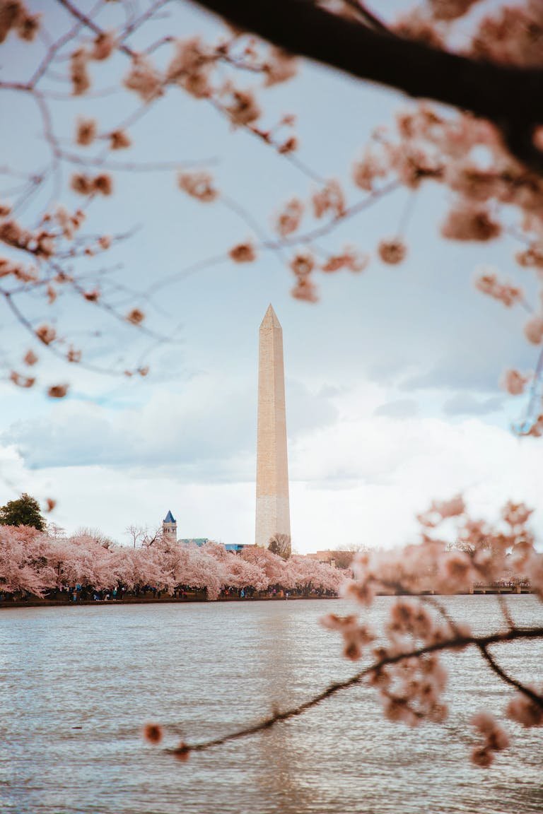 10 Best Places to See Cherry Blossoms on a Spring Weekend Getaway ...